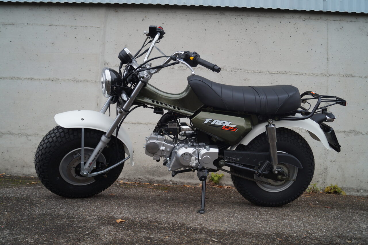 T-Rex 125 EFI - Skyteam Motorräder
