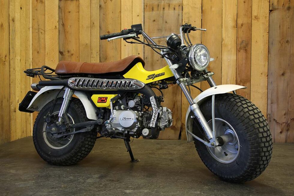 T-Rex - Skyteam Motorräder